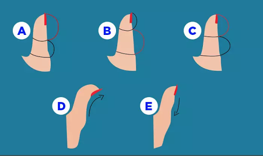 What Does The Shape Of Your Thumb Reveal About Your Personality Healthy Lifestyle what-does-the-shape-of-your-thumb-reveal-about-your-personality-healthy-lifestyle