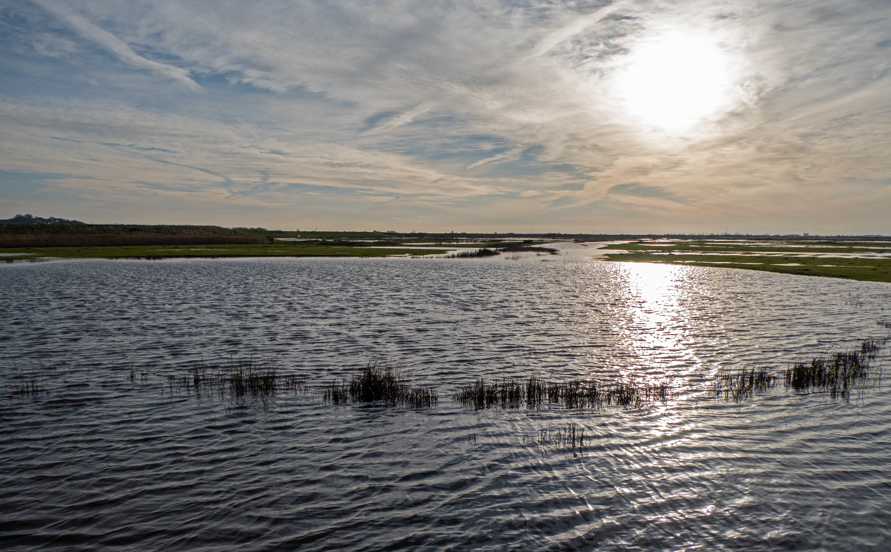 Bowers Marsh walk, January 2021 No. 7