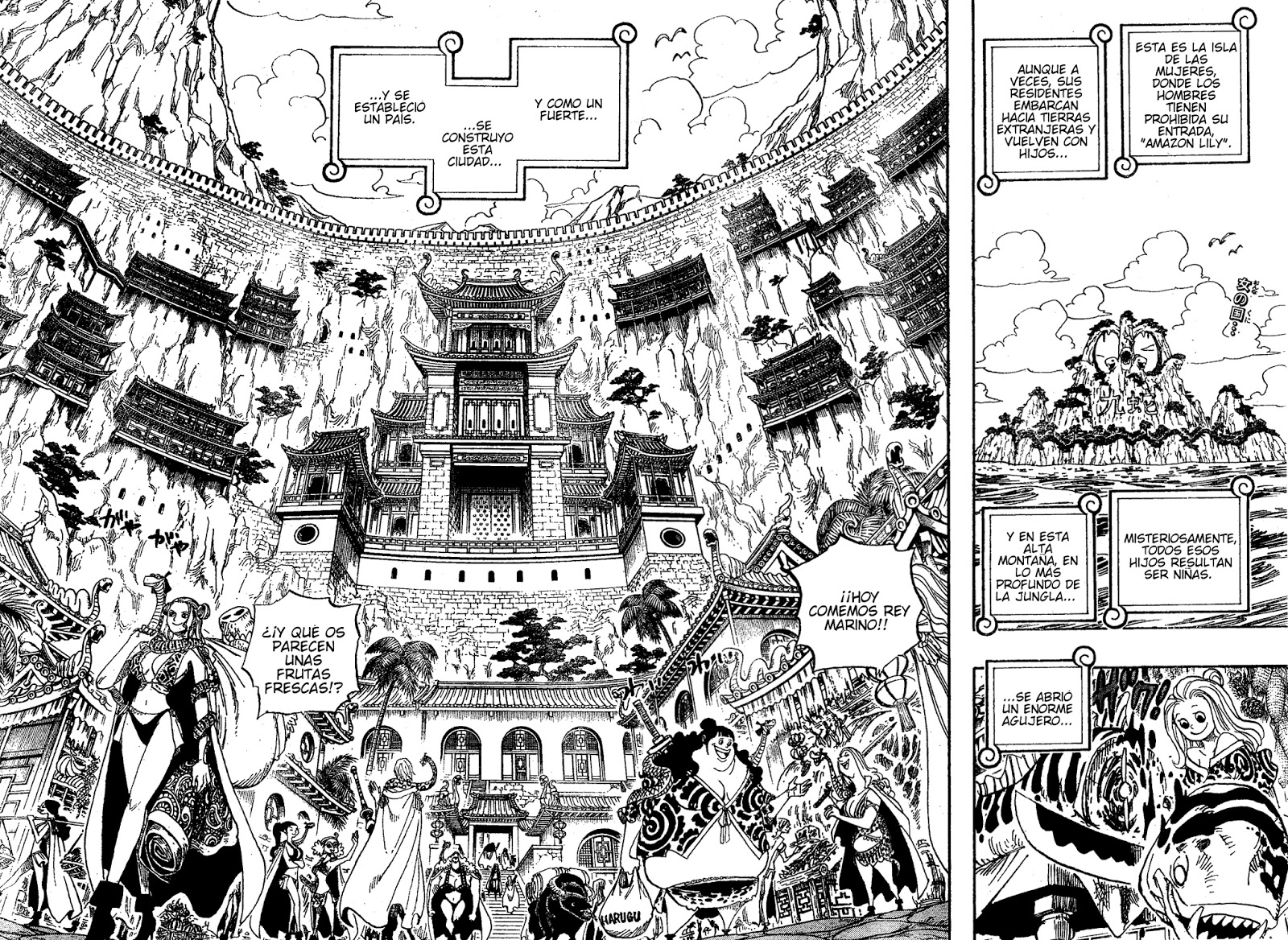 One Piece Manga Capitulo 515. Aventura en la isla de las mujeres ...