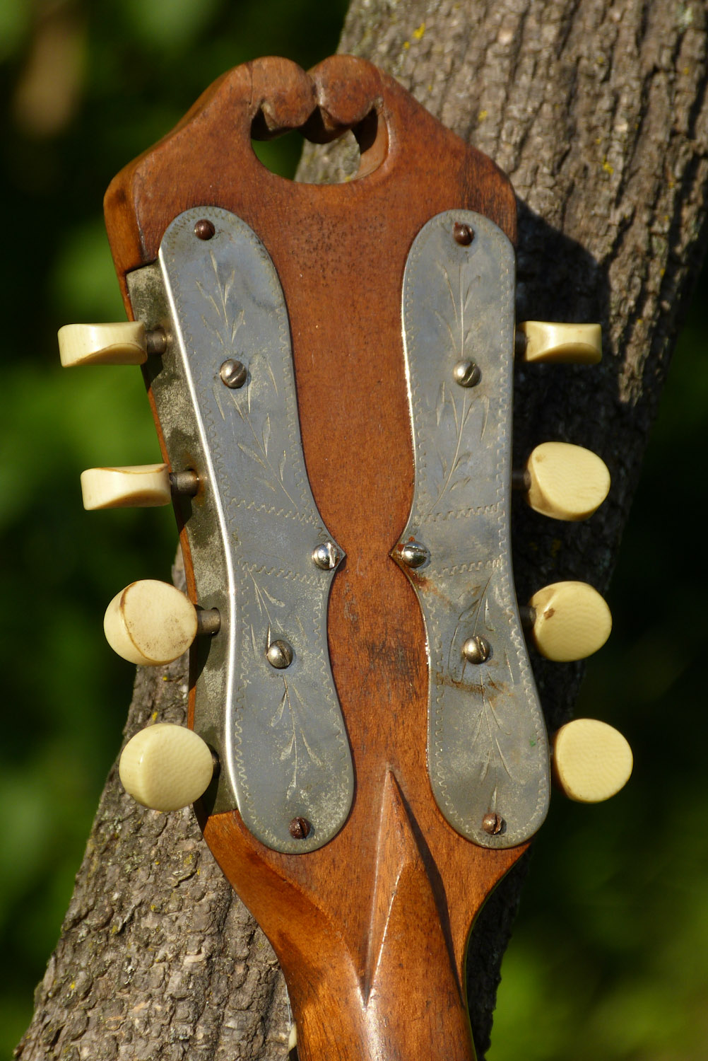 1914 Martin Style B Flatback Mandolin