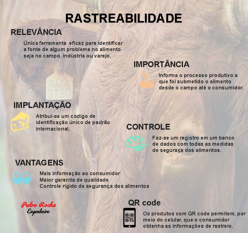 ENGINEERING: RASTREABILIDADE ENGINEERING: RASTREABILIDADE