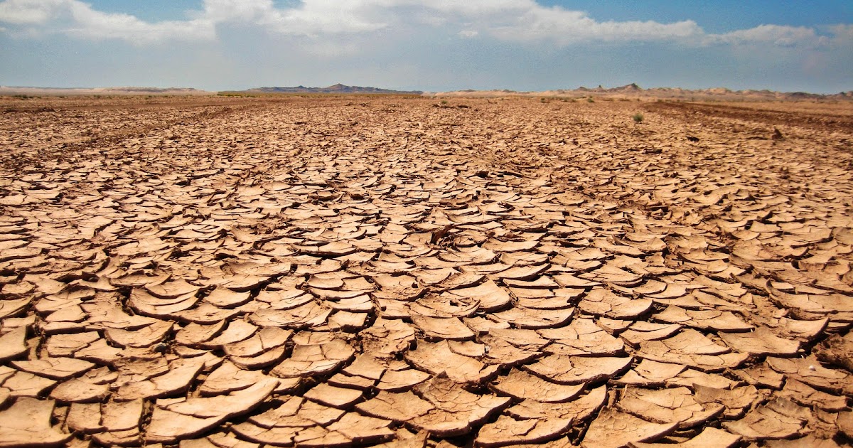 Insights and Sounds: Bringing Life to a Dry and Thirsty Land