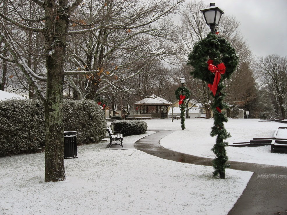 Bringing You Home to the High Country: Holidays in the High Country