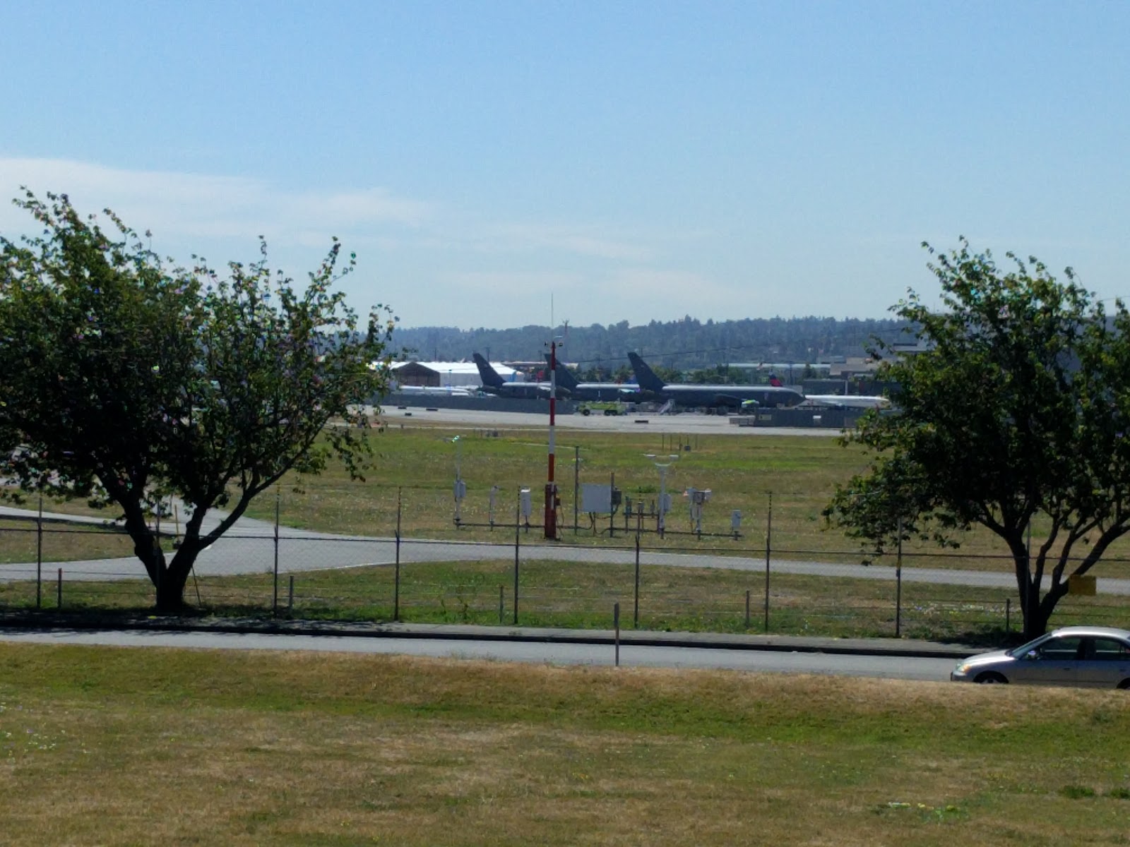 The Island of Phelps: Ruby Chow Park