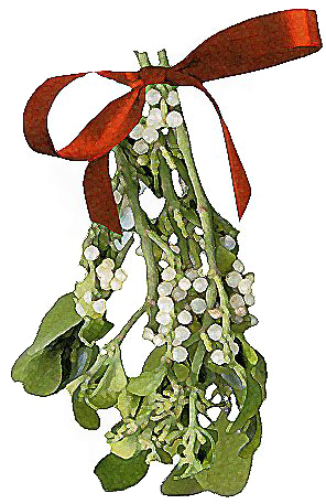 Mistletoe for Christmas | Belznickle Blogspot : Mistletoe for Christmas