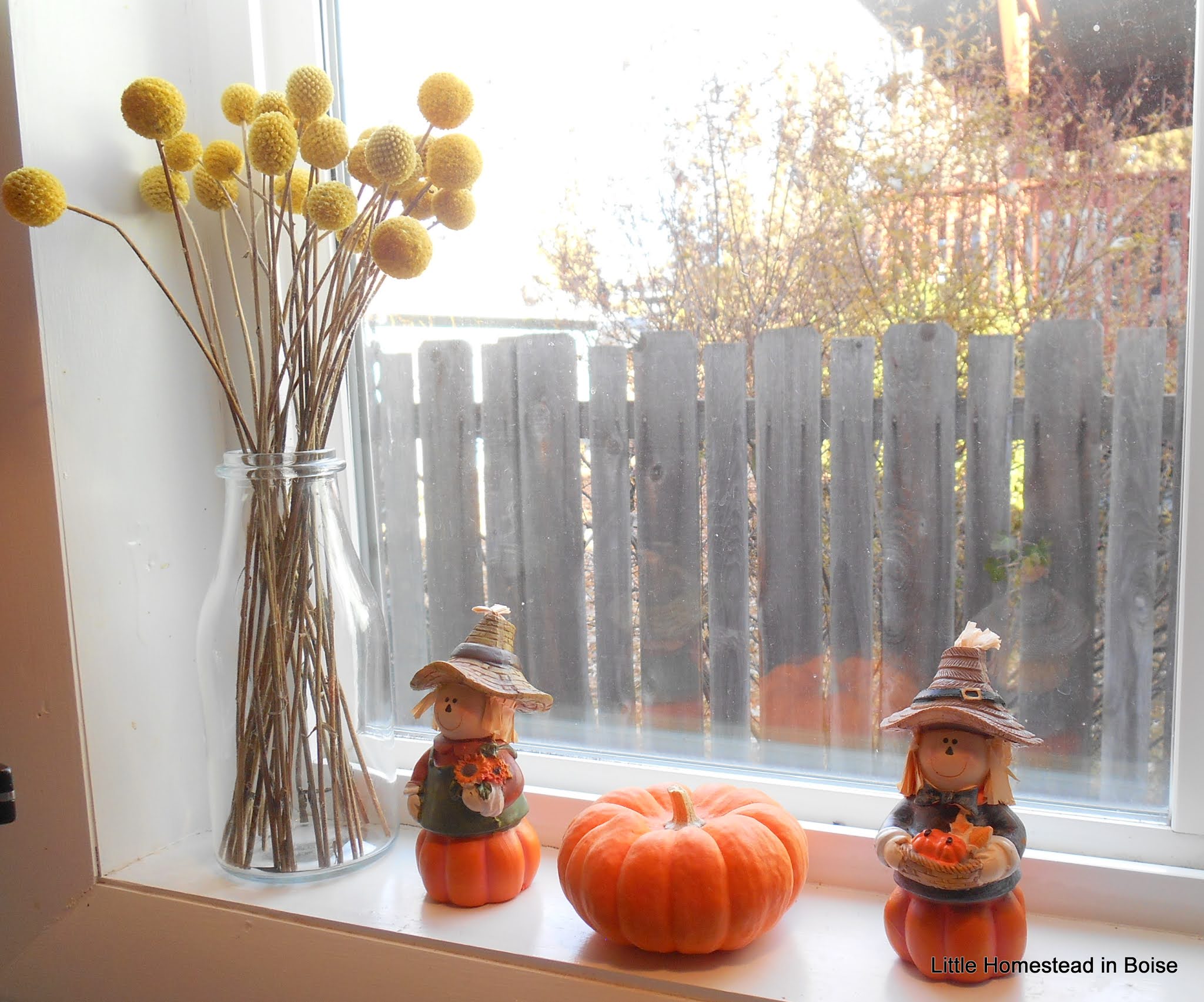 Little Homestead In Boise : Happy Thanksgiving!!!