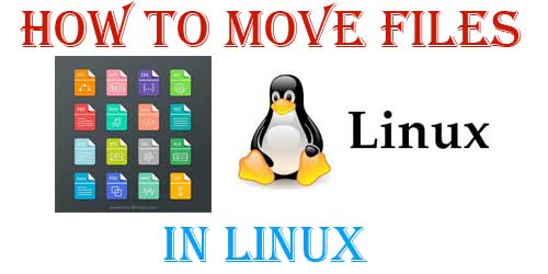 How To Move File In Linux How To Move File In Linux
