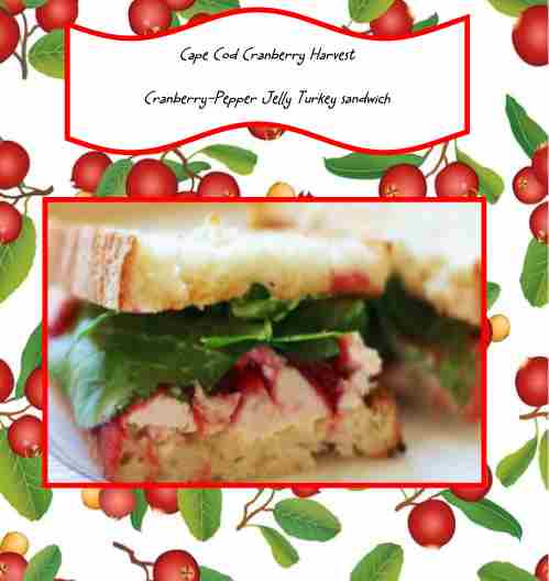 Momzdailyscoops: Cape Cod Cranberry Harvest Product Review