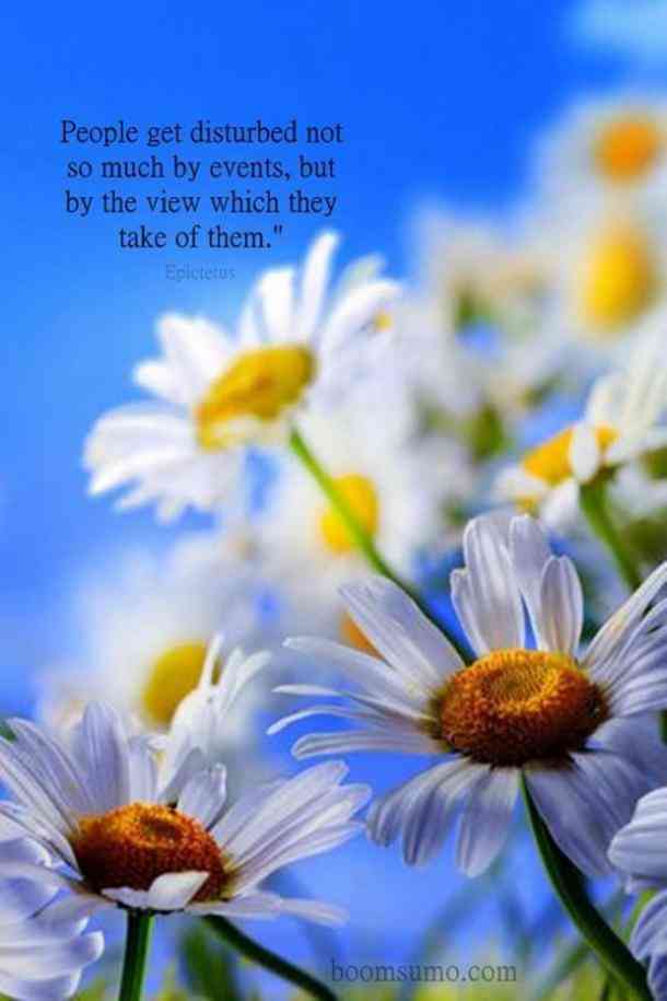 25 Positive Quotes To Brighten Your Day With picture - Quotes-4U