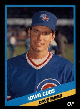 Not Another Baseball Card Blog: 1988 CMC Iowa Cubs