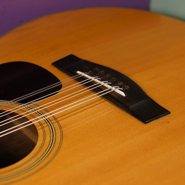 1978/2019 Yamaha Nylon-String Mandocello Conversion