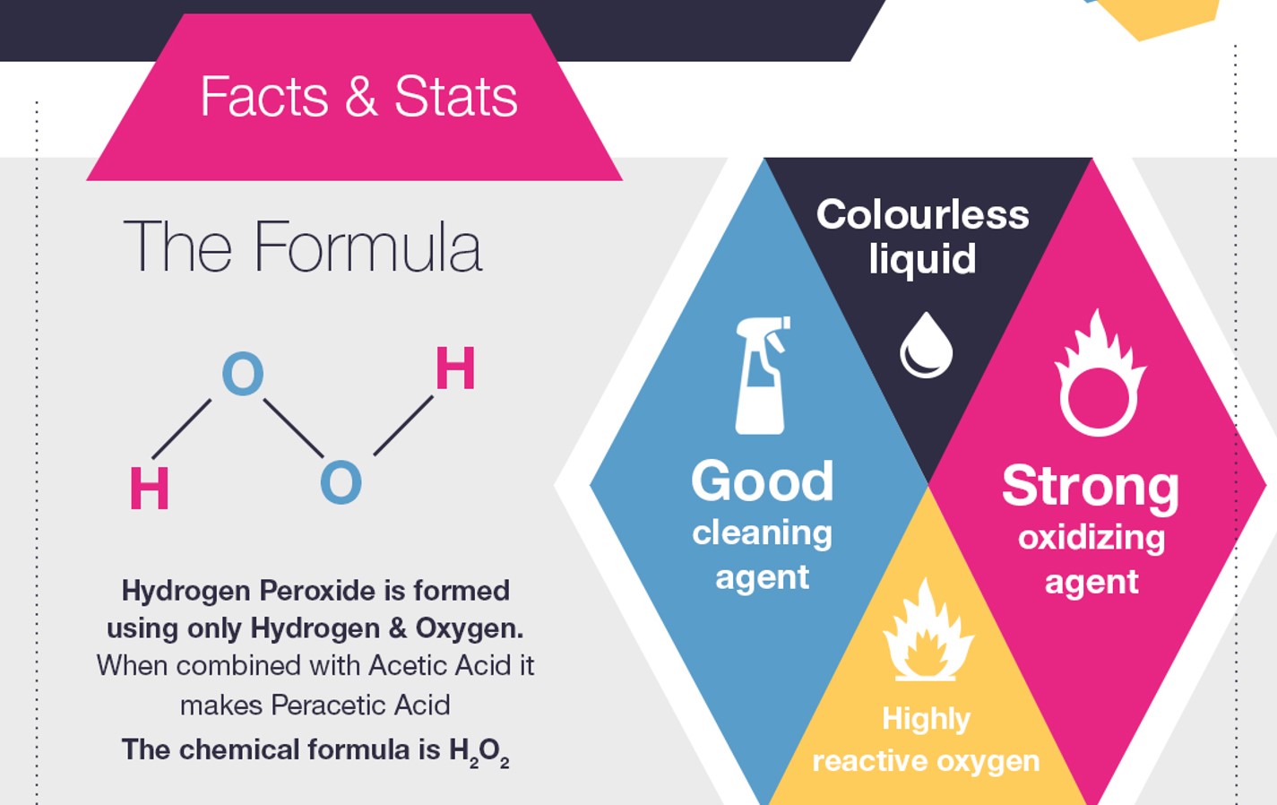 What is the fumigation and fogging?