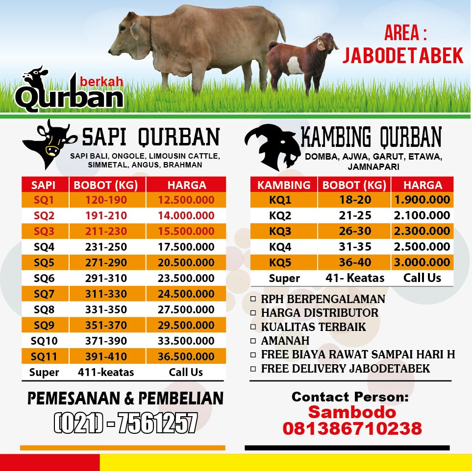 Harga Daging Kambing - Homecare24