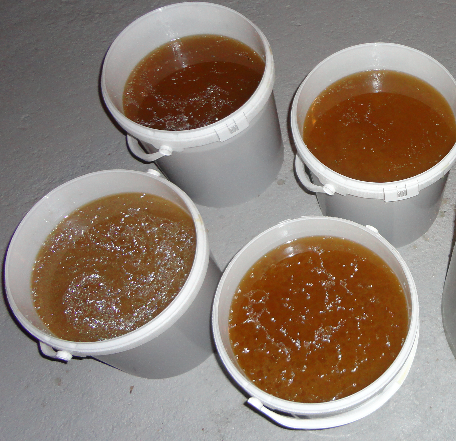 Jul i bestemors hage: Sylte