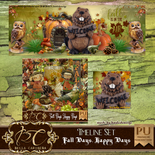 MON MONDE EN PSP: TAGS AND SCRAPKITS PTU 471