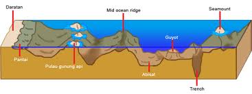 Kabar dari Laut: Relief Dasar Laut (Geografi)