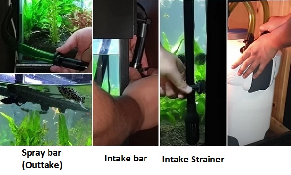 How to setup canister filter media | Best aquarium filter