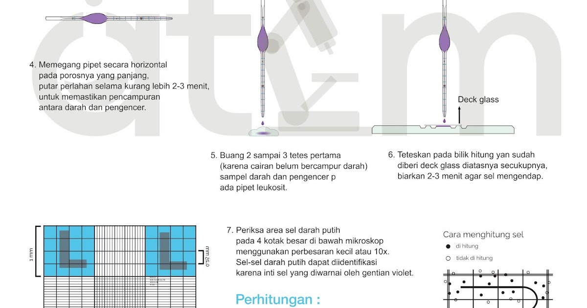 Menghitung Jumlah Sel Leukosit Metode Visual Hemositometer — Online ...
