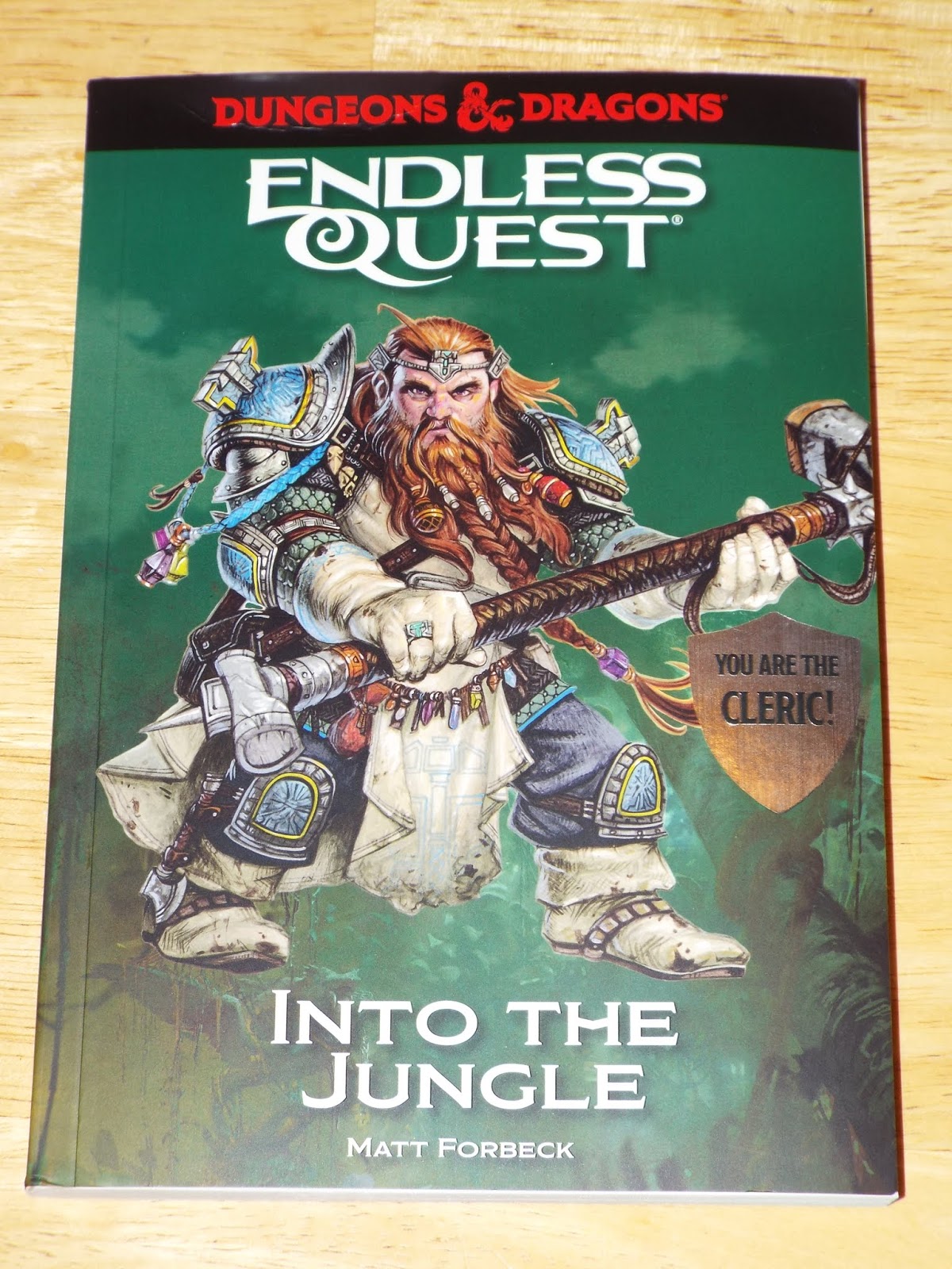 Biased Bill's World of Unplugged Gaming: D&D Endless Quest: Into The ...