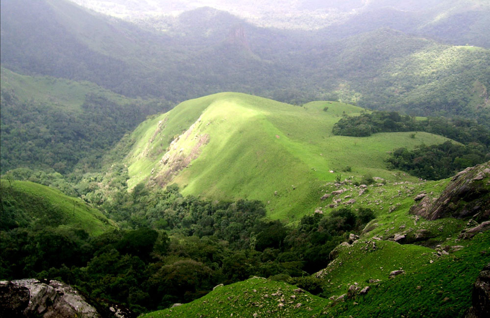 Every Day Is Special: May 20 – Cameroon's National Day