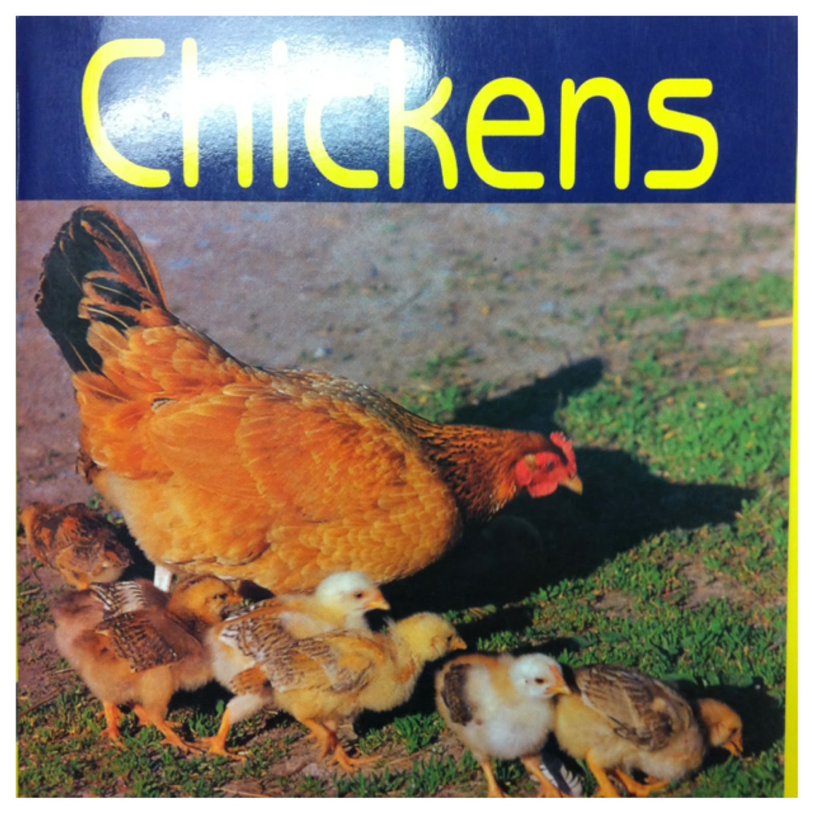 Little Miss Hood's Adventures in Kindergarten: Oviparous Animals