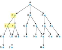 Breadth-first Search (BFS) in AI - New Technology