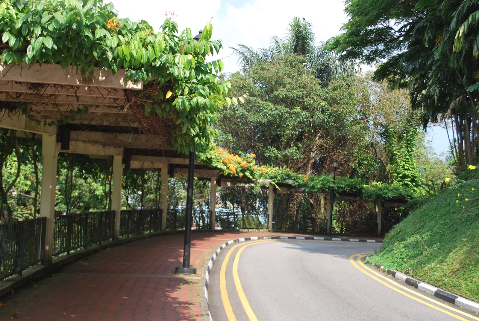 BookWorm Travel: Southern Ridges Park: Marang Trail