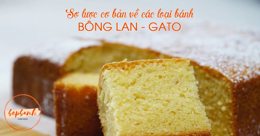 Sơ lược cơ bản về các loại bánh bông lan | Bếp Bánh