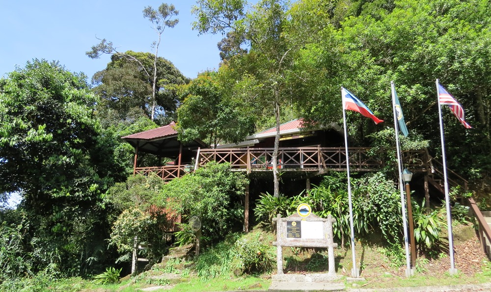 KINABALU: MESILAU NATURE PARK