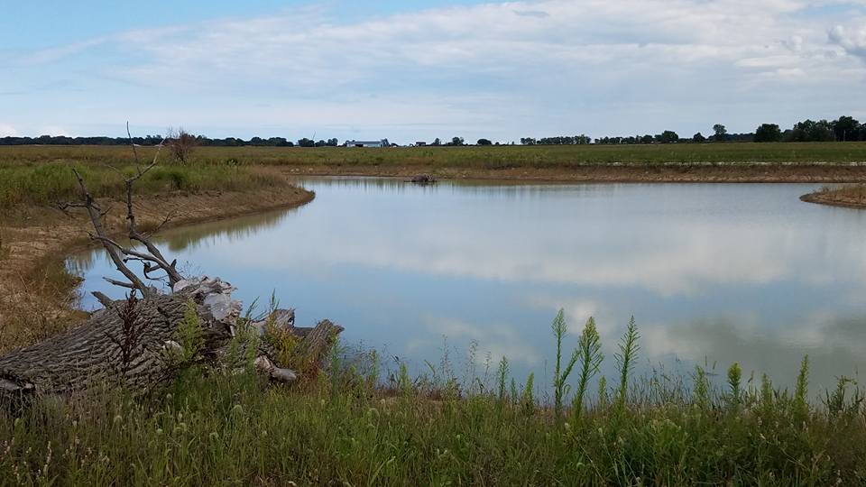 Weedpicker's Journal: