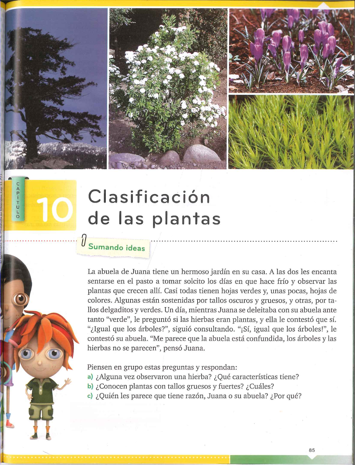 Escuela. Nº 23 "Gral. Viamonte" D.E 3: Las Plantas