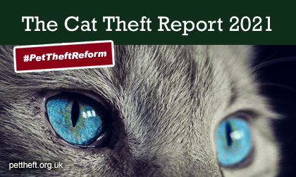 Cat Theft Report 2021