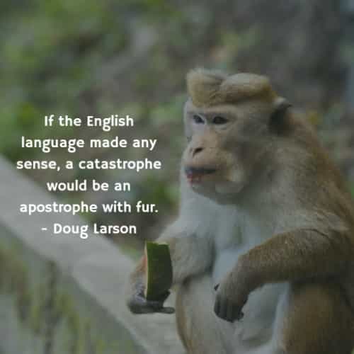 61 Funny quotes and sayings about life by famous people