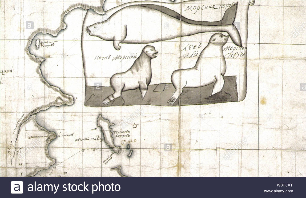 El descubrimiento de la fauna de Rusia (1). Georg Steller