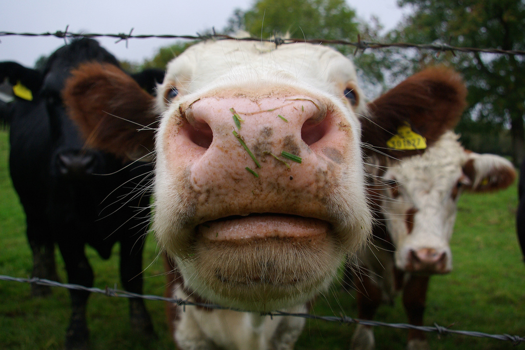 Mr. Carruthers Presents...Daily: September 2011