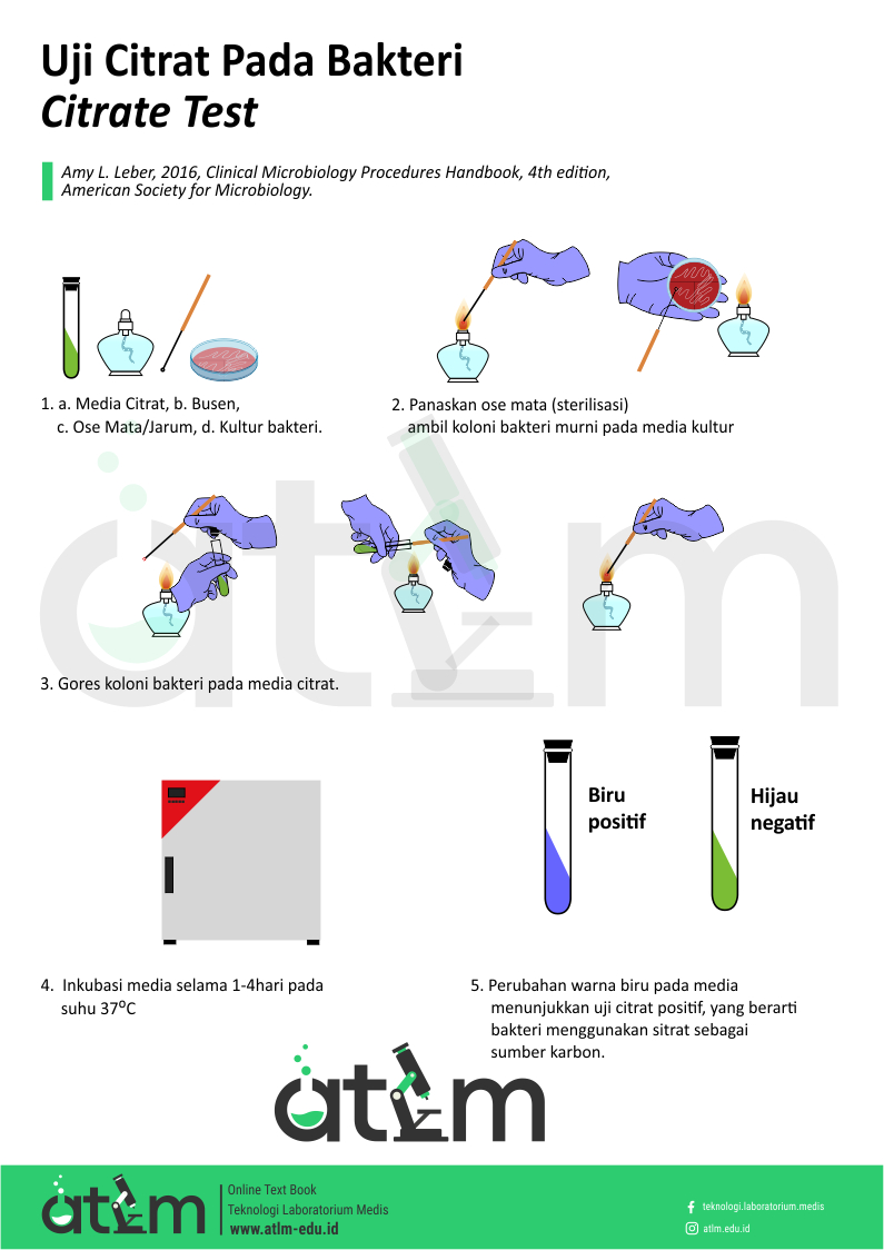 Uji Simmon’s Citrate Pada Bakteri - Citrate Test — Online Text Book ATLM