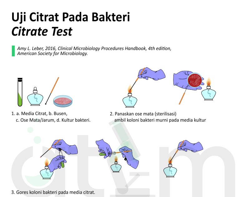 Uji Simmon’s Citrate Pada Bakteri - Citrate Test — Online Text Book ATLM