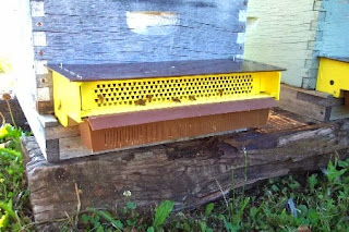 Buzzing Across America: Pollen: the Protein of the Hive