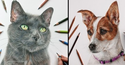 Design Stack: A Blog about Art, Design and Architecture: A Pet and ...