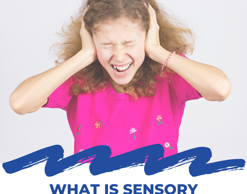 What is Sensory Overload? | And Next Comes L - Hyperlexia Resources