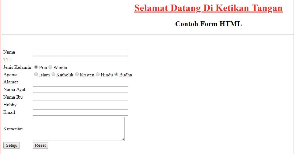 PENGERTIAN INPUTAN DAN JENIS-JENIS TAG INPUTAN LENGKAP | faqih_alvarodev