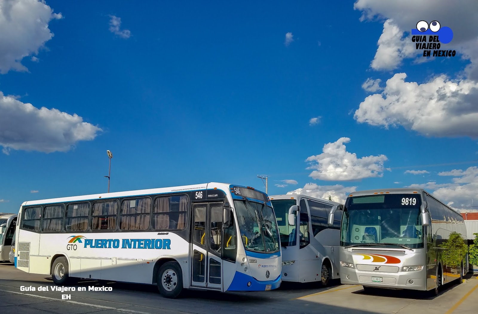 Todas estas líneas de autobús tienen algo en común