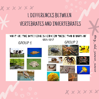 WHAT INVERTEBRATES LIVE AROUND US? (CLIL UNIT)