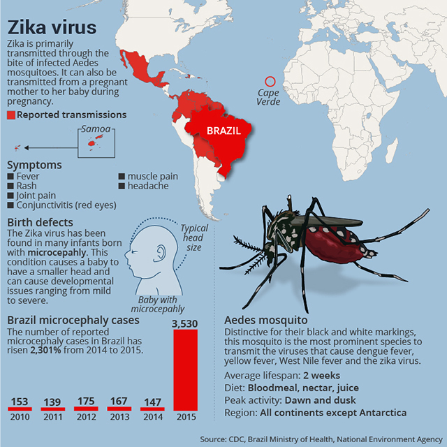 Zika Virus: Past, Present, and Future