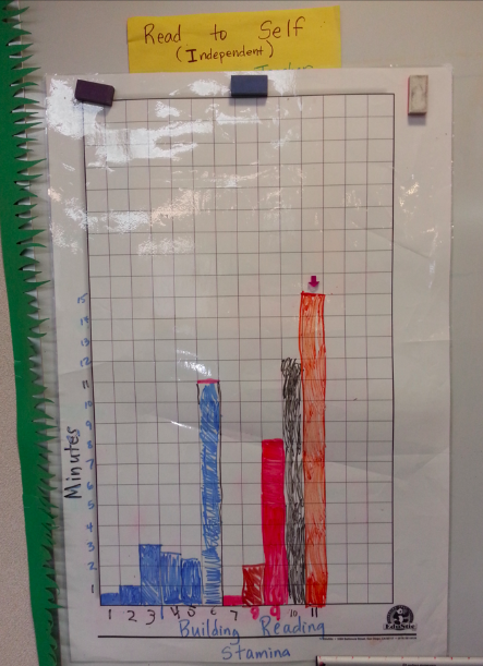 Mrs. Yollis' Classroom Blog: Organizing Our Library!