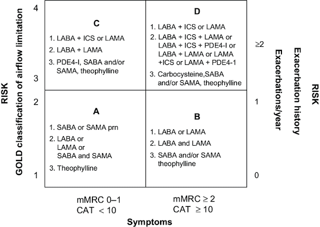 胸腔重症蘇一峰醫師: [2020 GOLD Reports] 2020 COPD的黃金治療指引：重點整理-Part I