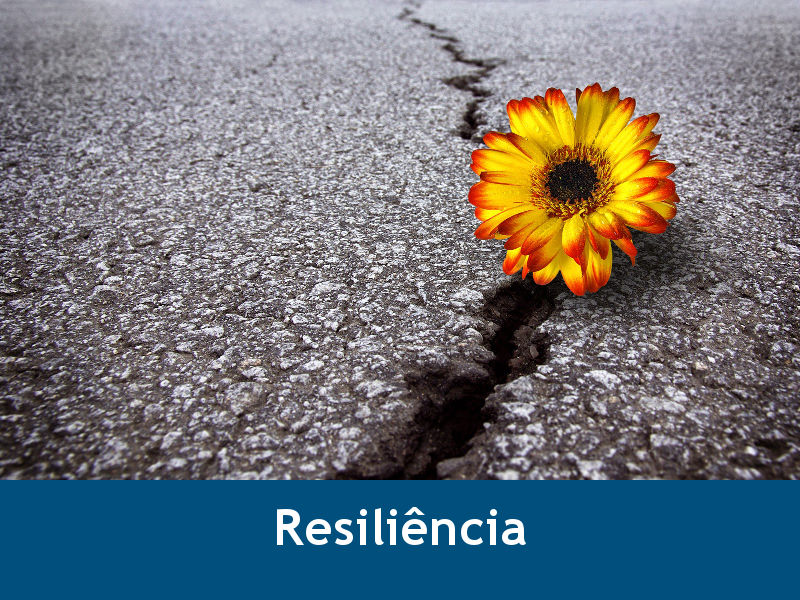 Resiliência: a arte de enfrentar os problemas com otimismo! - Vivendo ...