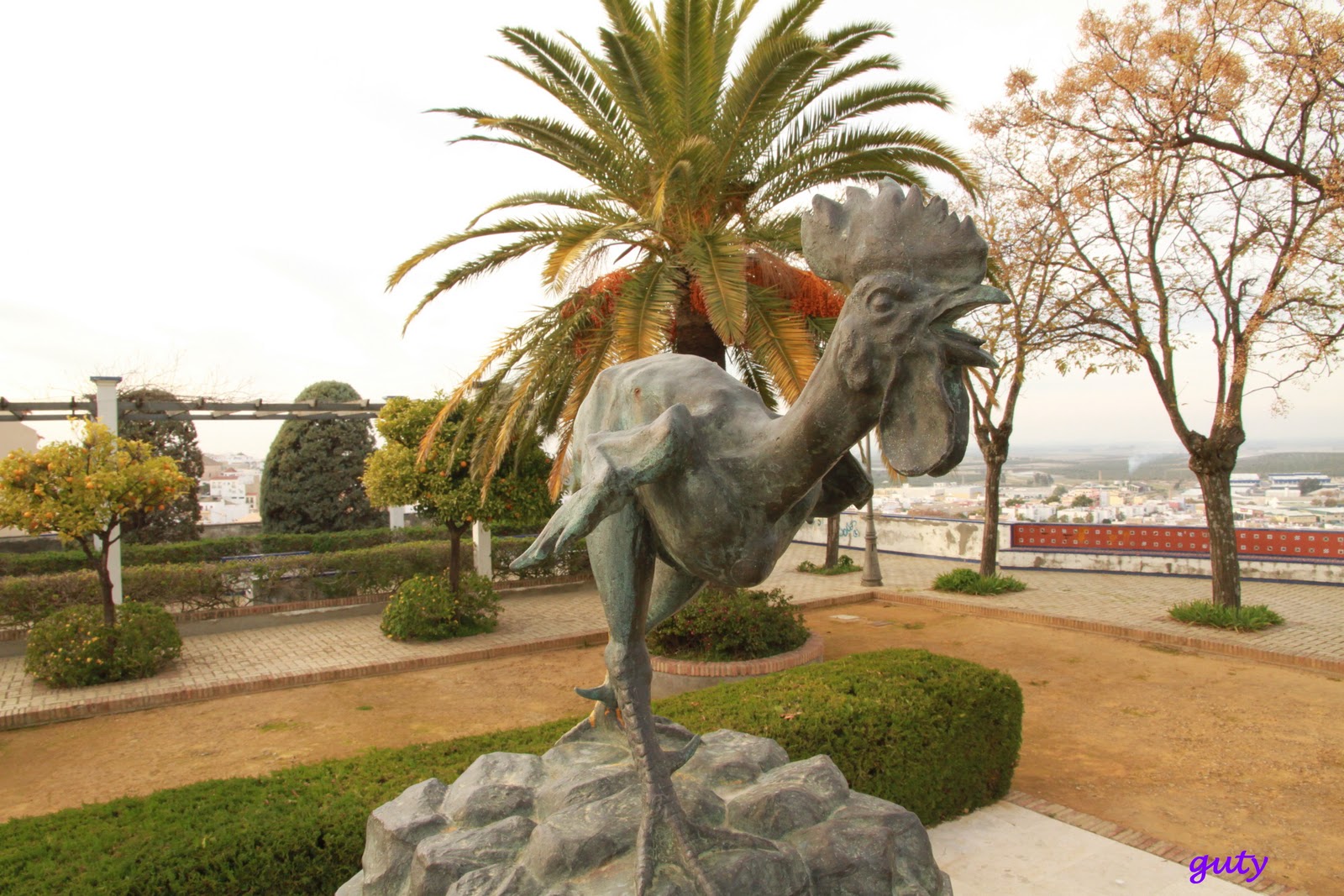 Fotografias: El Gallo y el Caballo de Moron.