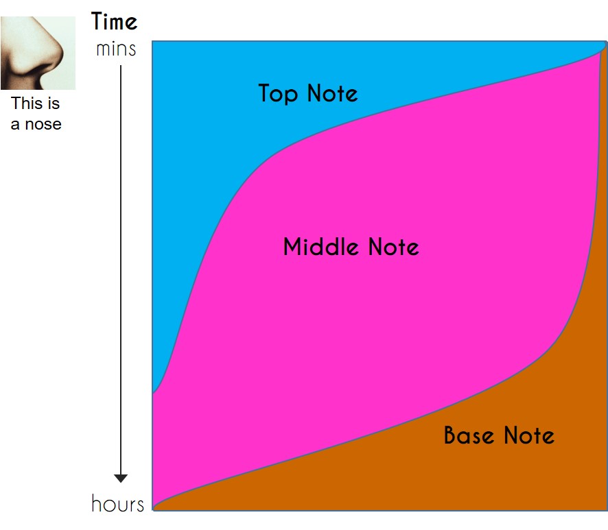 Perfume Structure - Our adventure to Perfumery