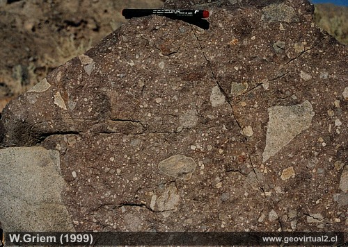 Brecha sedimentaria - Roca